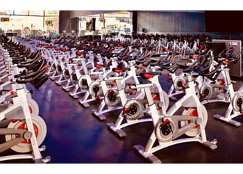 3 Best Gyms in Houston, TX - Expert Recommendations