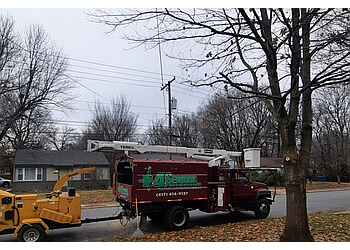 3 Best Tree Services in Springfield, MO - Expert Recommendations