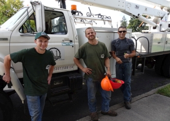 3 Best Tree Services in Spokane, WA - Expert Recommendations