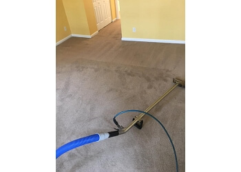 3 Best Carpet Cleaners in West Palm Beach, FL - Expert Recommendations