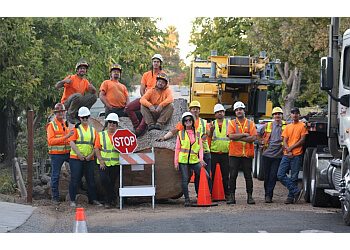 3 Best Tree Services in Sacramento, CA - Expert Recommendations