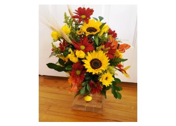 3 Best Florists in Tallahassee, FL - Expert Recommendations