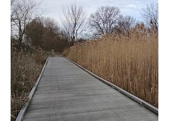 3 Best Hiking Trails in Cambridge, MA - Expert Recommendations