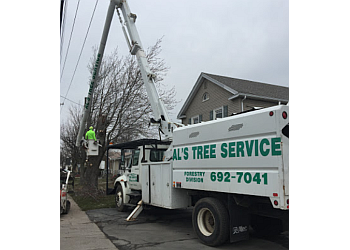 3 Best Tree Services in Buffalo, NY - Expert Recommendations