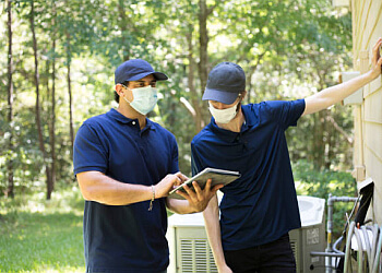 3 Best Pest Control Companies in Inglewood, CA - Expert Recommendations