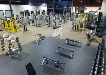 3 Best Gyms in Colorado Springs, CO - Expert Recommendations