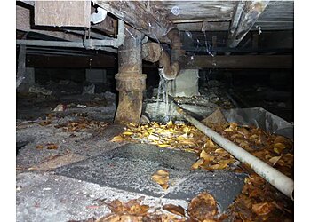 3 Best Home Inspections in Miami, FL - Expert Recommendations