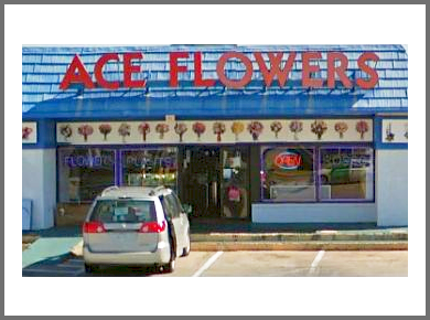 3 Best Florists in Houston, TX - Expert Recommendations