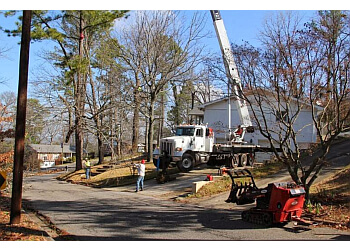 3 Best Tree Services in Birmingham, AL - ThreeBestRated
