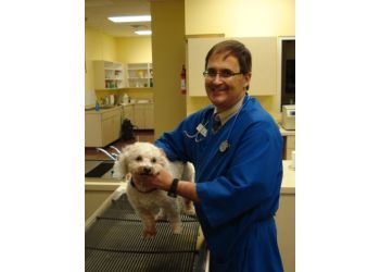 3 Best Veterinary Clinics in Springfield, MO - Expert Recommendations