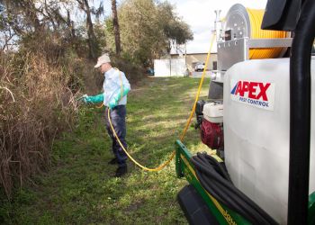 3 Best Pest Control Companies in Tampa, FL - Expert Recommendations