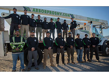 3 Best Tree Services in Reno, NV - Expert Recommendations