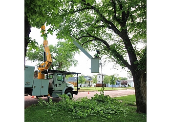 3 Best Tree Services in Amarillo, TX - Expert Recommendations
