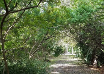 3 Best Hiking Trails in Miami, FL - ThreeBestRated