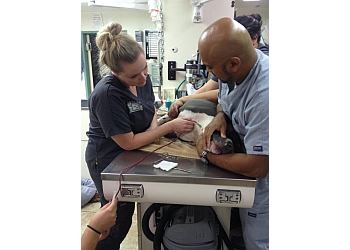 3 Best Veterinary Clinics in Riverside, CA - Expert Recommendations