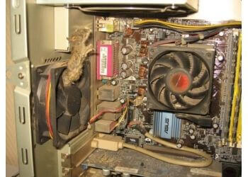 3 Best Computer Repair in Allentown, PA - Expert Recommendations