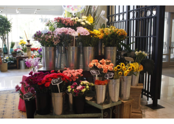 3 Best Florists in Chicago, IL - Expert Recommendations