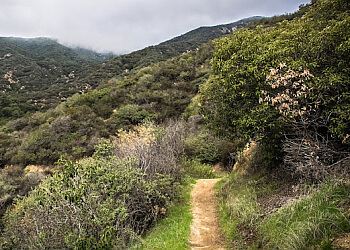3 Best Hiking Trails in Pasadena, CA - Expert Recommendations