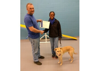 3 Best Dog Training in Baltimore, MD - Expert Recommendations