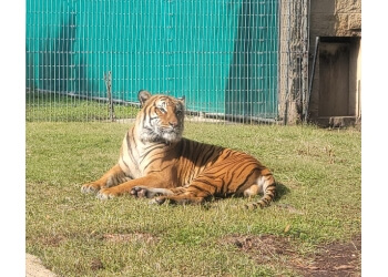 3 Best Places To See in Baton Rouge, LA - ThreeBestRated