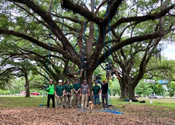 3 Best Tree Services in New Orleans, LA - Expert Recommendations