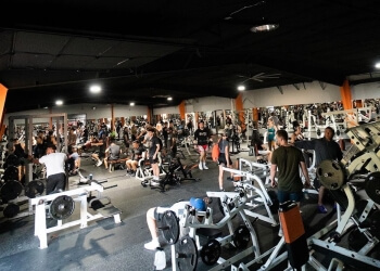 3 Best Gyms in Houston, TX - Expert Recommendations
