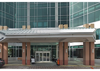 3 Best Gynecologists in St Petersburg, FL - Expert Recommendations