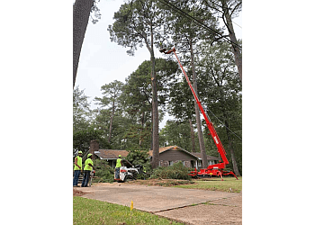 3 Best Tree Services in Jackson, MS - ThreeBestRated