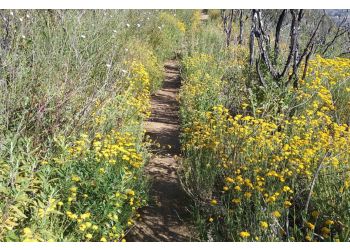 3 Best Hiking Trails in Oxnard, CA - Expert Recommendations
