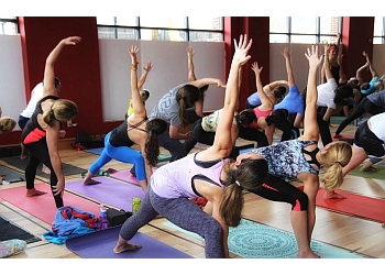 3 Best Yoga Studios in Rochester, NY - Expert Recommendations