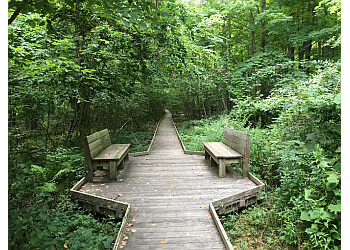 3 Best Hiking Trails in Worcester, MA - Expert Recommendations