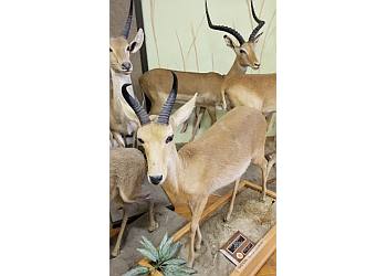 3 Best Landmarks in Bakersfield, CA - Expert Recommendations
