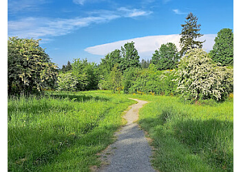 3 Best Hiking Trails in Kent, WA - Expert Recommendations