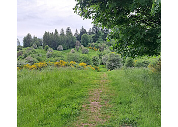 3 Best Hiking Trails in Kent, WA - Expert Recommendations