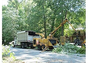 3 Best Tree Services in Richmond, VA - Expert Recommendations