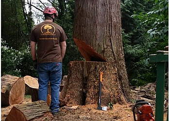3 Best Tree Services in Kent, WA - Expert Recommendations
