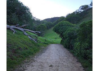 3 Best Hiking Trails in Walnut Creek, CA - Expert Recommendations