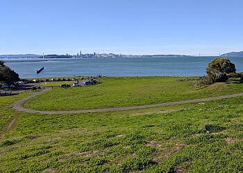 3 Best Hiking Trails in Berkeley, CA - Expert Recommendations