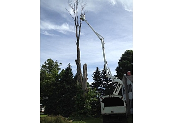 3 Best Tree Services in Syracuse, NY - Expert Recommendations