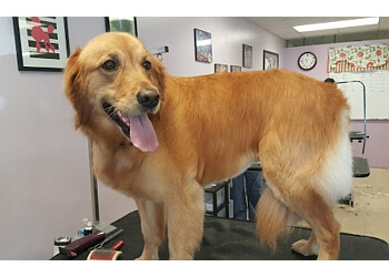 Pet Grooming Fayetteville Nc