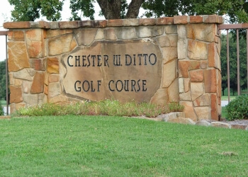 3 Best Golf Courses in Arlington, TX - ThreeBestRated