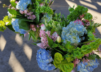 3 Best Florists in Richmond, VA - Expert Recommendations