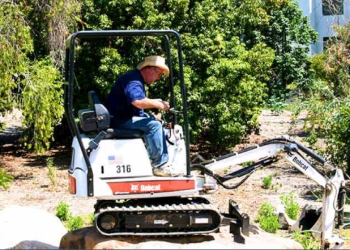 3 Best Tree Services in Rancho Cucamonga, CA - Expert Recommendations