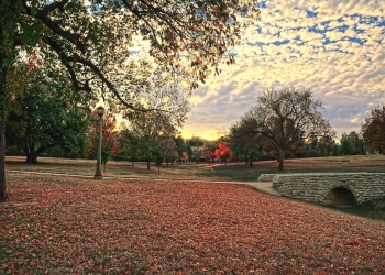 3 Best Public Parks in Wichita, KS - Expert Recommendations