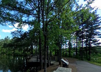 3 Best Hiking Trails in Little Rock, AR - Expert Recommendations