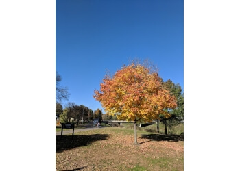 3 Best Public Parks in Rochester, MN - Expert Recommendations