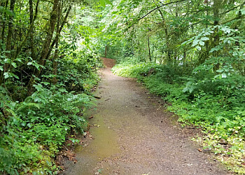 3 Best Hiking Trails in Salem, OR - Expert Recommendations