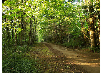 3 Best Hiking Trails in Salem, OR - Expert Recommendations