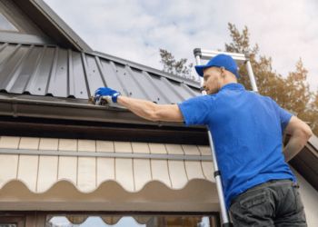 3 Best Gutter Cleaners in Washington, DC - Expert Recommendations