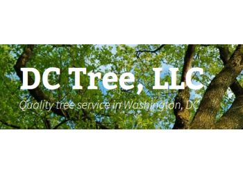 3 Best Tree Services in Washington, DC - ThreeBestRated